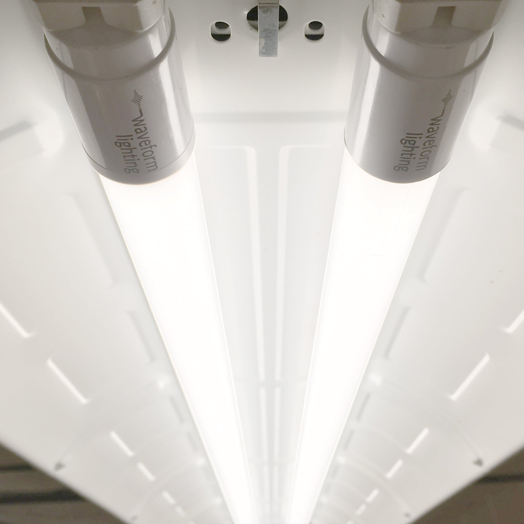 NorthLux™ 95 CRI T8 LED Tube for Art & Studio – NorthLux™ Lighting